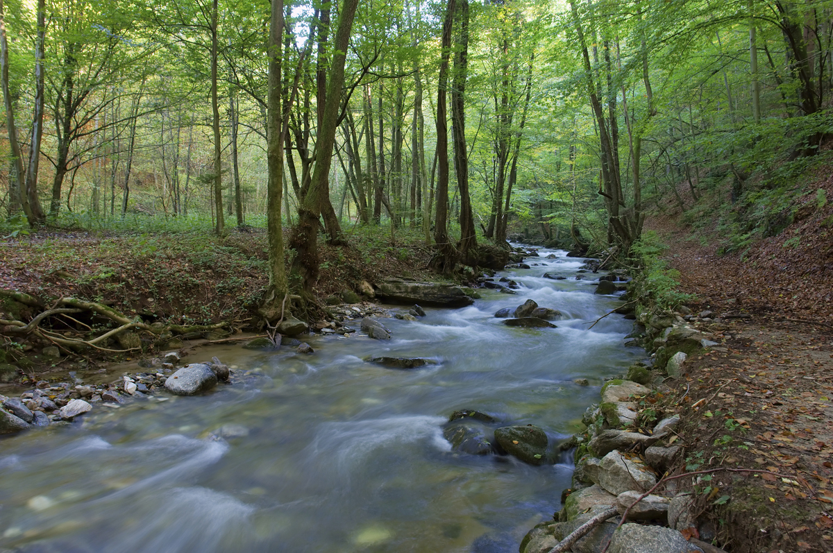 iStock_Creek Photo-1200 x 700 – Retreat on Stony Creek